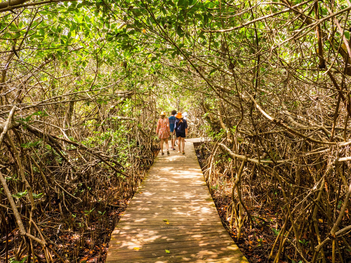 The Leon Levy Native Plant Preserve | Raymond Jungles, Inc.