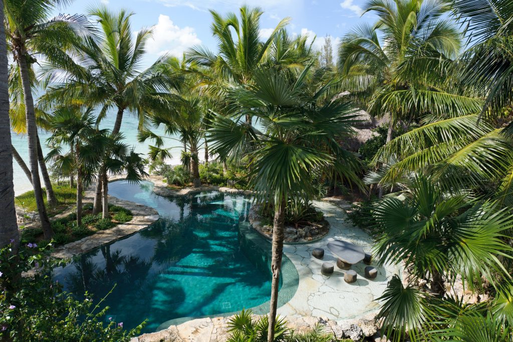 Davids’ Garden | Raymond Jungles, Inc.