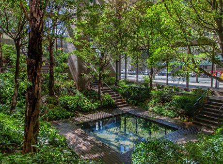 Projects | Raymond Jungles, Inc.
