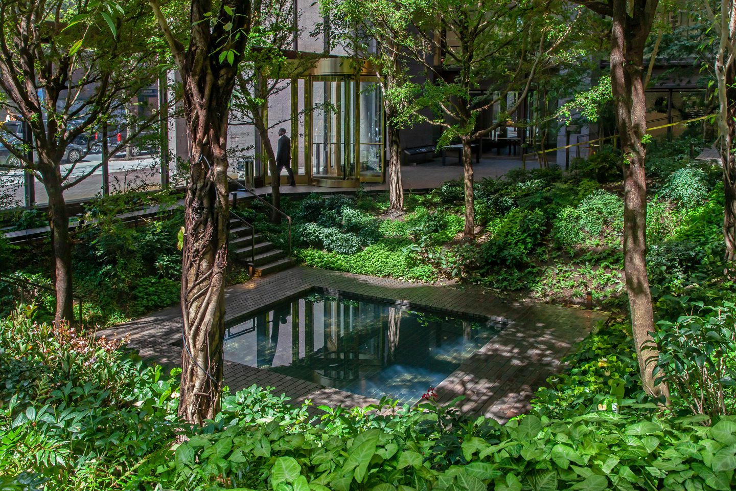 Ford Foundation Center for Social Justice | Raymond Jungles, Inc.