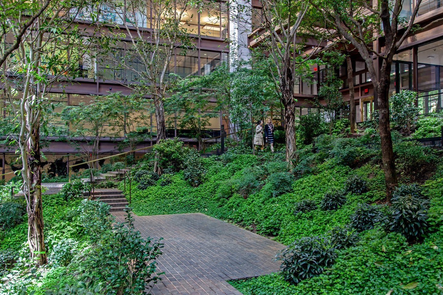 Ford Foundation Center for Social Justice | Raymond Jungles, Inc.